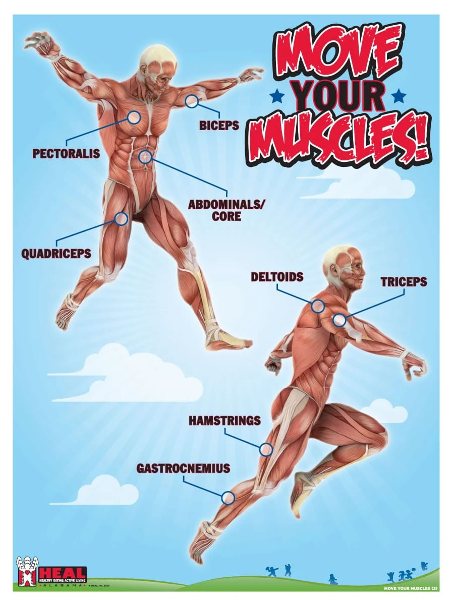 School Posters - Middle - HEAL United